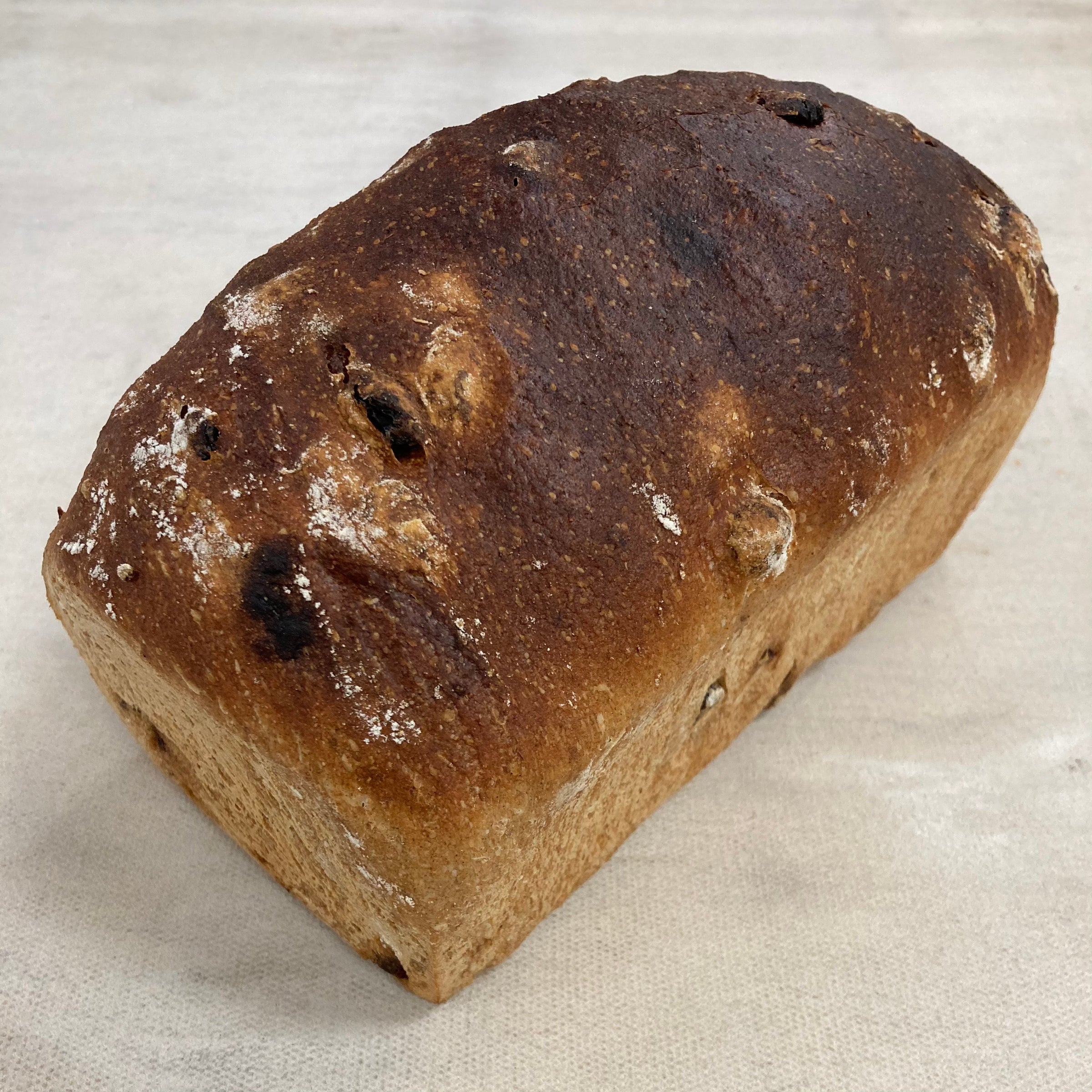 ursa minor bread